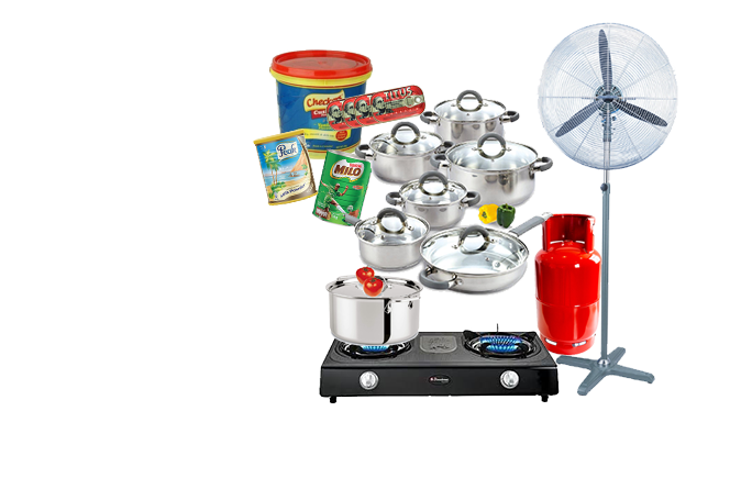 vPin Digital Ecosystem