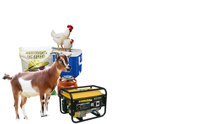 vPin Digital Ecosystem